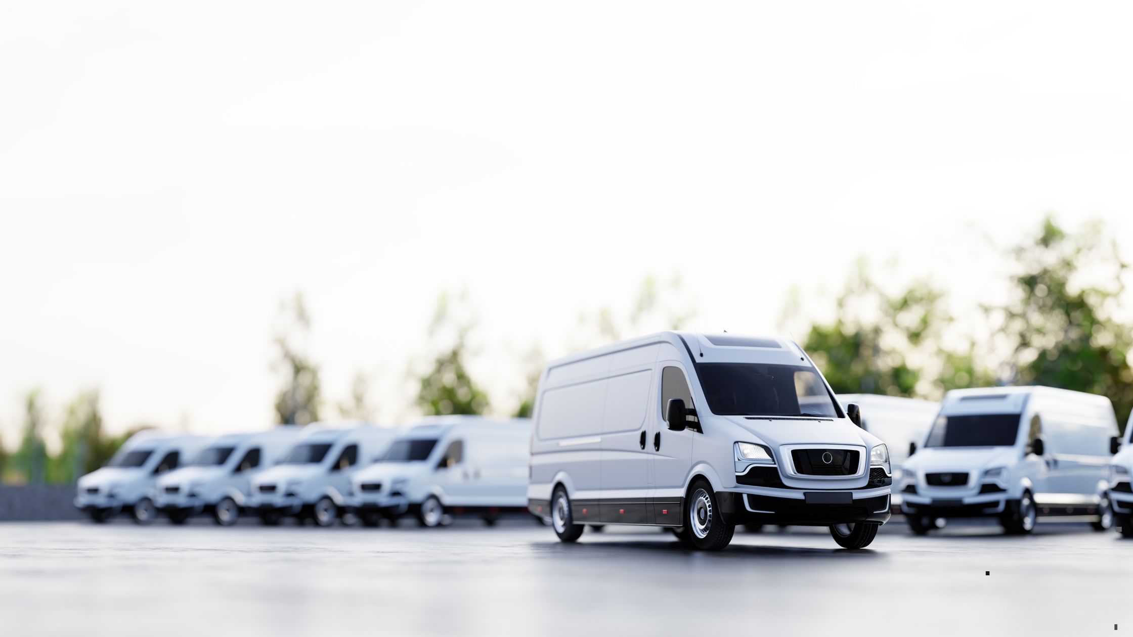 White Company Vehicles: Cost & Trend Benefits - Ewald Fleet Solutions